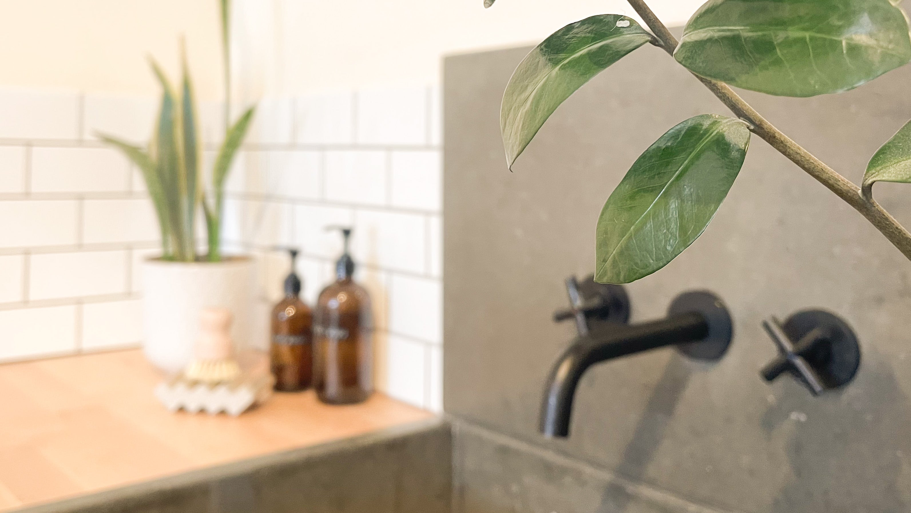 RePlenish Zero Waste – Re:Plenish